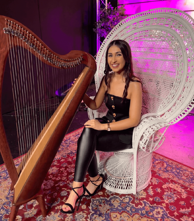 Eadaoin Ni Mhaicin - Harpist in Mayo Wedding Bands Ireland – The ...